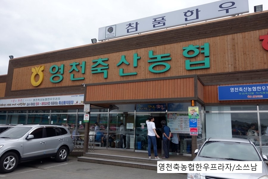 영천 축산농협 한우프라자 메뉴와 가격 영천한우프라자 소고기 맛집 네이버 블로그