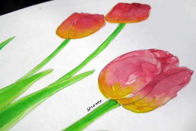 꽃그림 튜울립수선화백합 수채화 꽃그림 네이버 블로그