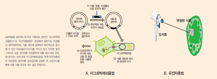 유전자변형생물체의 다양한 종류와 유전자변형기술 네이버 블로그