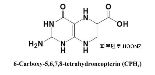 주름개선-3) 아데노신, ATP [CPH4/루시/피부멘토/훈즈/천연수제화장품/더순수/주름/세포/재생] : 네이버 블로그