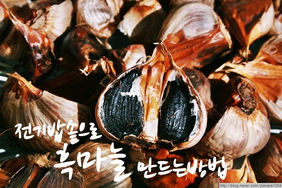 흑마늘 만드는법 And 효능 전기밥솥으로 흑마늘 만들기 네이버 블로그