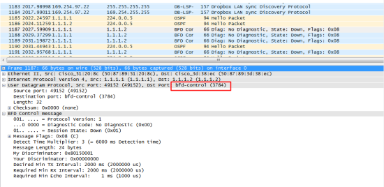 BFD(Bidirectional Forwading Detection) : 네이버 블로그