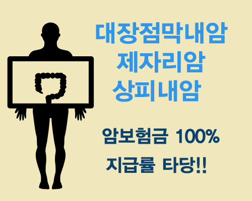 대장점막내암 상피내암 제자리암 암보험금 100 지급이 타당합니다 네이버 블로그