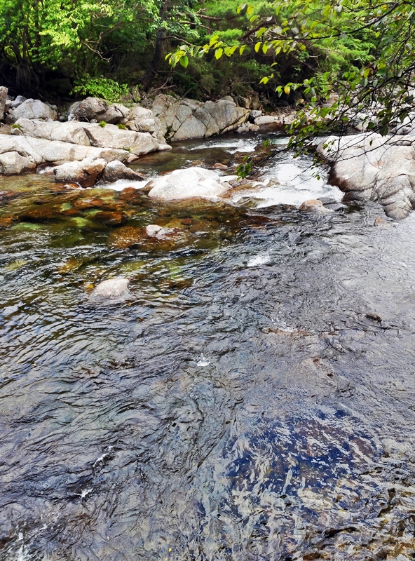 지리산 뱀사골 계곡 : 네이버 블로그