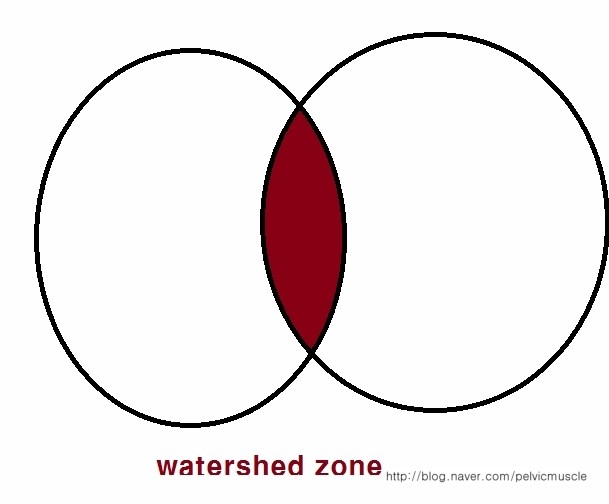 watershed zone infarction에 대하여. : 네이버 블로그