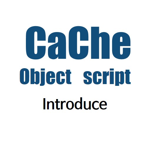캐쉐이DB(Cache DB) Cache ObjectScript : 네이버 블로그