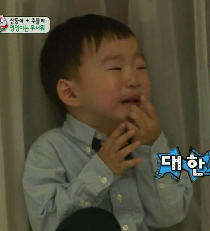 웃긴 짤 수집가 :: 웃긴 짤 / 귀여운 짤 / 놀란 짤 : 네이버 블로그