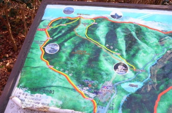 진도여행② 첨찰산 울창한 상록수림 깊은 속을 걷다 네이버 블로그