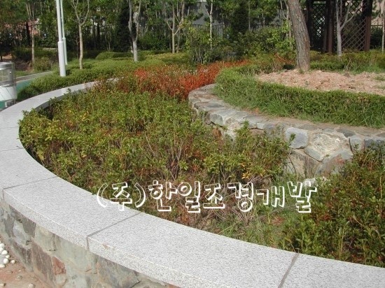 앉음벽 연식의자 플랜터 식재플랜터 목재연식의자 목재앉음벽 산석플랜터 산석시공 원형플랜터 플랜터박스 슬레이트패널 조경공사전문