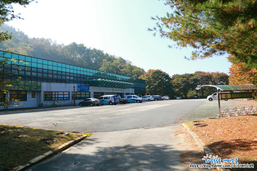 가족들과 함께 즐거운 인라인스케이트를 즐겨요 보문산 사정공원 인라인스케이트장 네이버 블로그