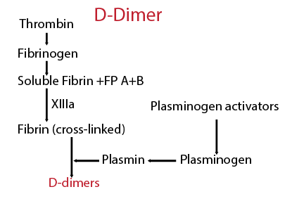 d-dimer : 네이버 블로그