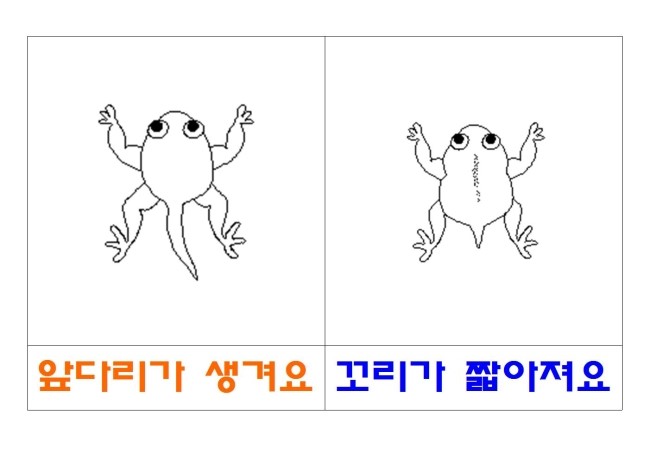 봄활동지 2탄 개구리의 성장과정 작은책만들기 네이버 블로그