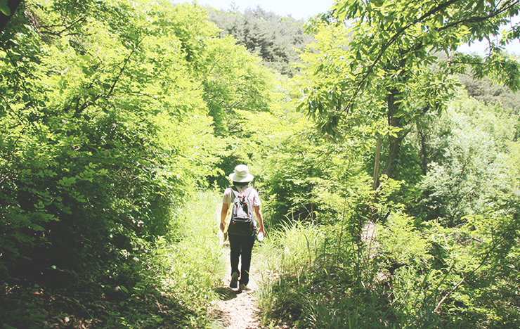 [지리산둘레길민박] 지리산 둘레길 주변 민박집 추천해드려요 : 네이버 블로그