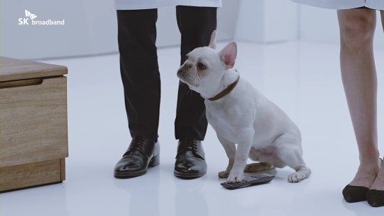 [CF] SK브로밴드 Btv 콘텐츠연구소 키즈존(뽀로로)편 / 30s. 2015 : 네이버 블로그