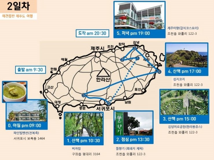 제주도 애견동반 여행 추천코스 및 애견가능식당 강아지 제주도 여행 네이버 블로그