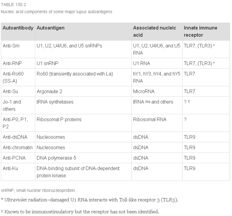 Antinuclear antibodies (ANA) : 네이버 블로그