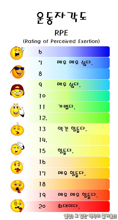 운동자각도, RPE(Rating of Perceived Exertion), Borg Scale : 네이버 블로그