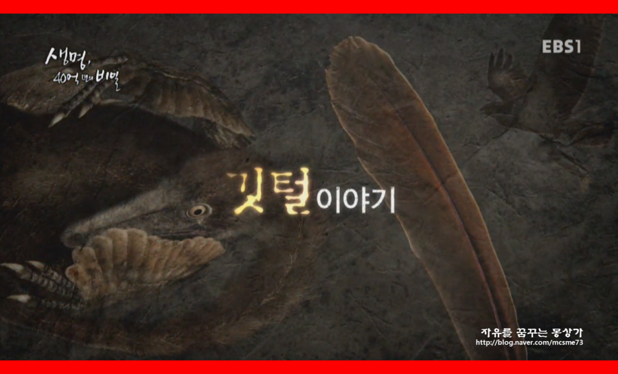 생명 40억년의 비밀 깃털공룡이야기 네이버 블로그