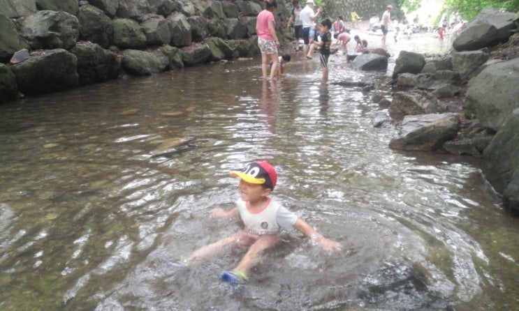 장태산자연휴양림에서 물놀이 대전 인근 물놀이장 무료 물놀이 대전 놀거리 대전 자연휴양림 산림욕장 아이들 물놀이장
