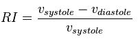 RI value, 의학용어 RI, 신장RI, brain RI (Arterial resistivity index ...