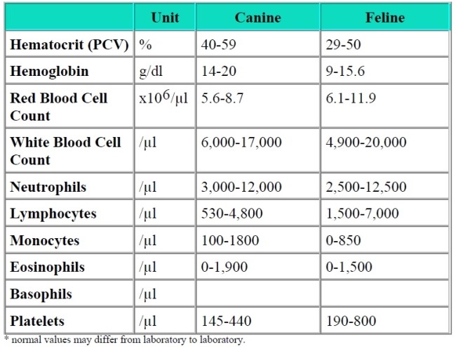 강아지 피검사 보는법(complete blood cell count ;CBC;전혈검사) : 네이버 블로그