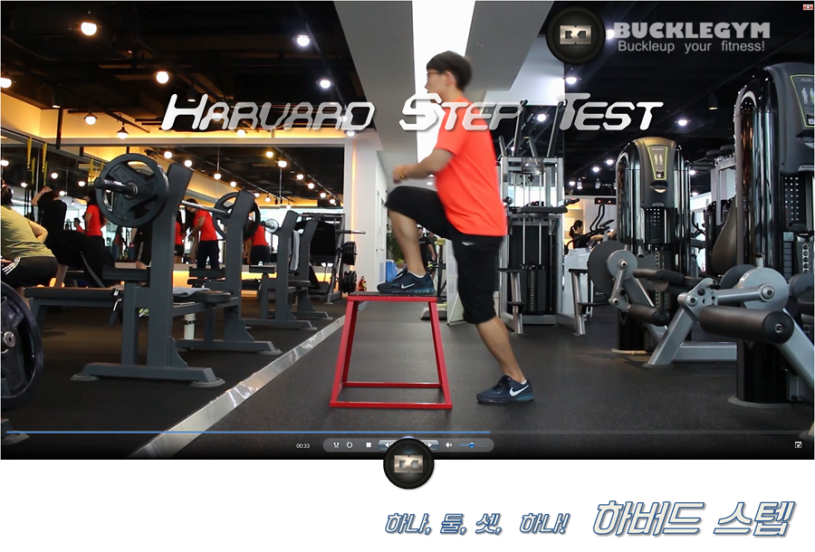 하버드 스텝 테스트, Harvard step test 유산소 운동 효과, 다이어트 운동법 영상, 유산소 헬스 운동 순서,( 분당 ...