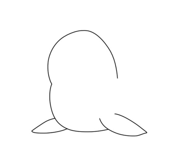 손그림 일러스트 ＃ 물개 캐릭터 그리기 네이버 블로그