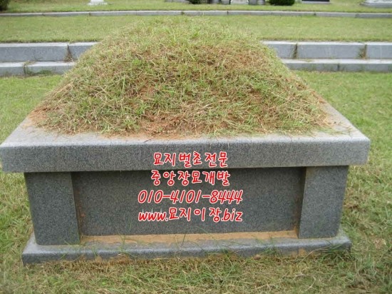 산소벌초 벌초대행업체 고양시 원당 묘지 벌초작업 벌초대행업체묘지관리 네이버 블로그