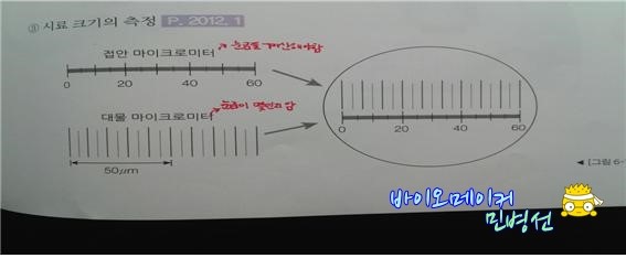 생물학 현미경의 종류구조기능 및 세포의 길이 측정 네이버 블로그