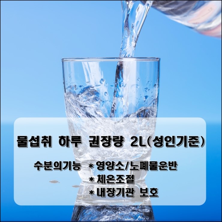 하루 물 권장량 의정부 플라잉요가 센터에서 알아보세요~ 네이버 블로그