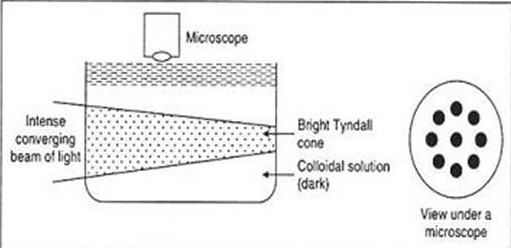 녹말 검출. 아이오딘(요오드 용액).탄수화물 : 네이버 블로그