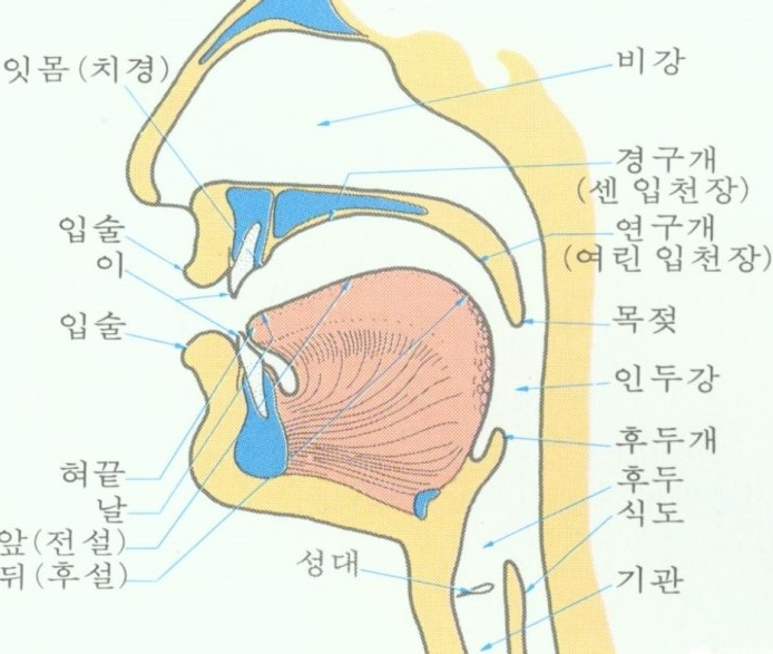자음 모음 체계표와 한글의 우수성 : 네이버 블로그