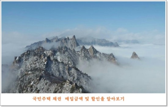 부동산 등기시 국민주택채권 매입금액 및 할인율 알아보기 ~~ 네이버 블로그