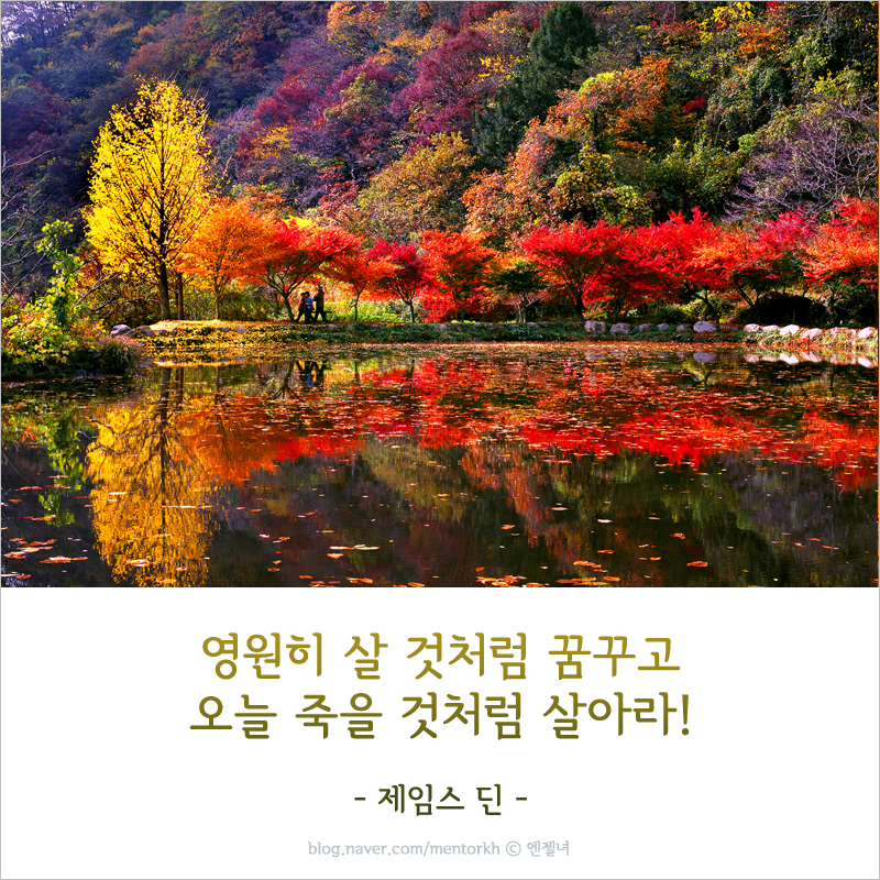 짧고 좋은 글귀and명언 가을이미지 모음♥ 네이버 블로그
