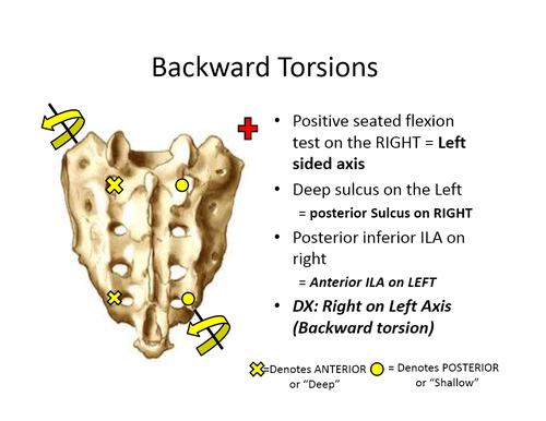 움직임을 위한 용어 - Torsion, Inflare, Outflare, Nutation : 네이버 블로그