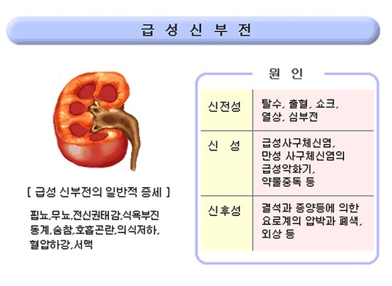 신부전증 증상 한눈에 알아보기 네이버 블로그