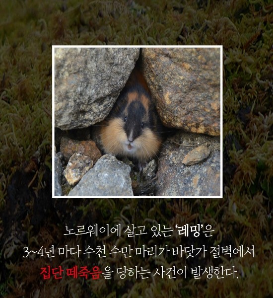 뭐해먹고살지? : 네이버 블로그