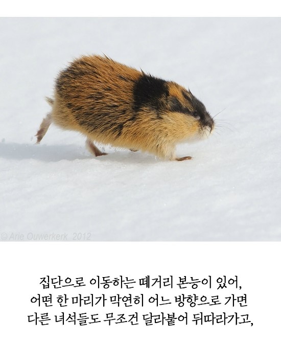 뭐해먹고살지? : 네이버 블로그