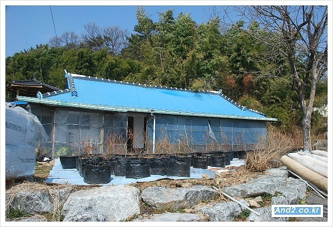 전북시골주택익산시골집시골빈집시골싼집저렴한 농가주택시골촌집전북시골농가주택익산농가주택전북 익산시 웅포면 산아래 저렴한