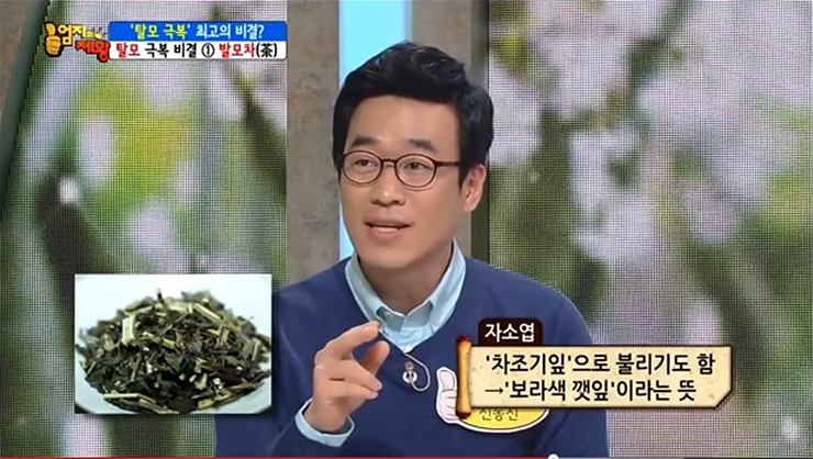 자소엽 효능 및 부작용 자소엽차 만들기 네이버 블로그