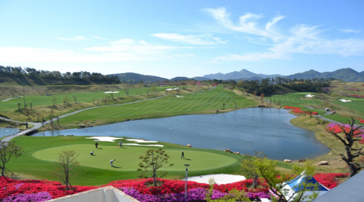 드비치cc 드비치컨트리클럽 드비치골프클럽 거제도드비치cc 거제드비치컨트리클럽 경상도1박2일골프패키지 거제도2박3일골프투어 경상남도단체골프여행 거제골프장부킹 거제시골프예약