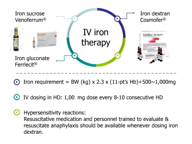 철분제 정맥 주사, 베노훼럼주, Parenteral iron therapy, Venoferrum : 네이버 블로그