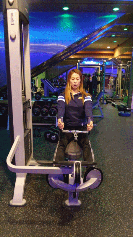 시티드 케이블 로우 등운동 광배근운동 넓은등운동 네이버 블로그