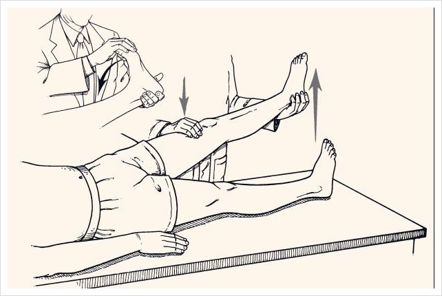 라세그 징후(Lasegue's Sign) 허리통증, 다리저림! 하지직거상 검사(SLR TEST) : 네이버 블로그