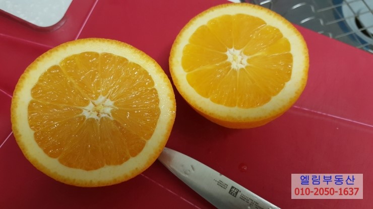 엘림네 손님맞이 예쁜 다과상 차림 오렌지 예쁘게 자르기 과일 다과상 차리기 네이버 블로그