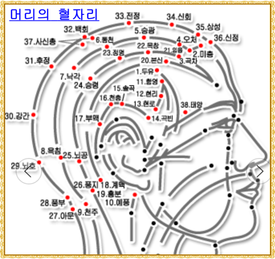 머리의 혈자리 12경혈의 명칭과 위치 봉침혈자리 네이버 블로그
