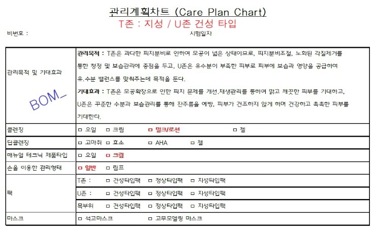 피부미용관리차트 피부미용관리계획차트 타입별 네이버 블로그