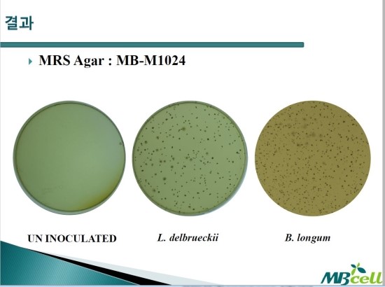 유산균수 세번째 - 유산균수 (MRS agar, BL agar) (2016-23호) : 네이버 블로그