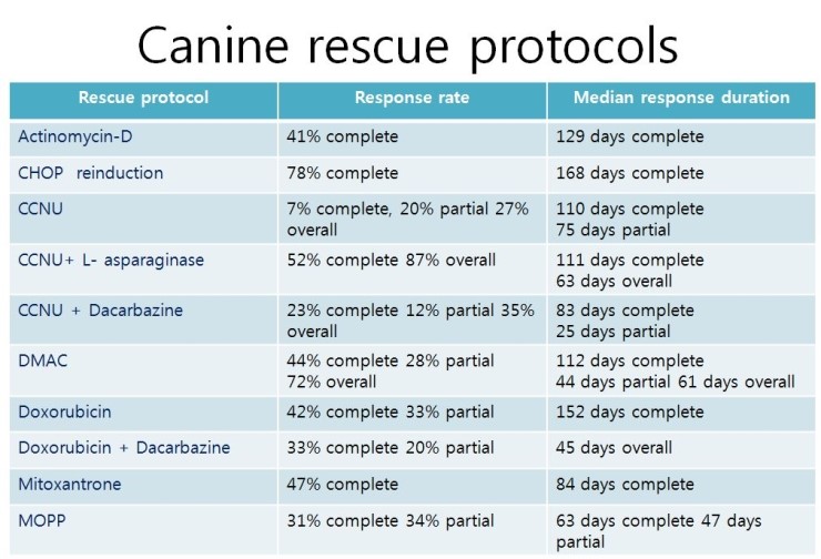 개 림프종 rescue protocol/ 강아지 림프종 항암치료후 재발/림프종 항암제 내성/부산 강아지 고양이 림프종 진단과 ...