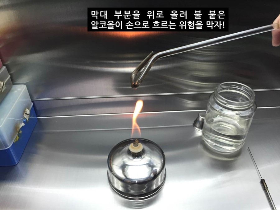 미생물 접종 미생물 접종 도구들 네이버 블로그